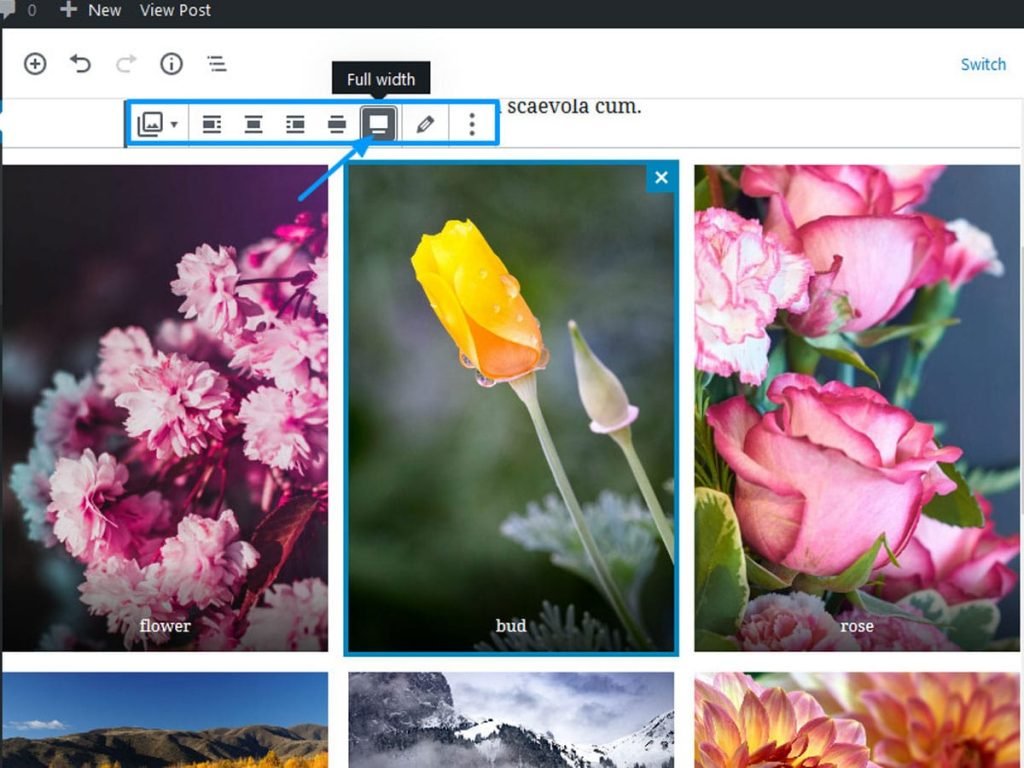 How to Create an Image Gallery in WordPress-Beginner’s Guide